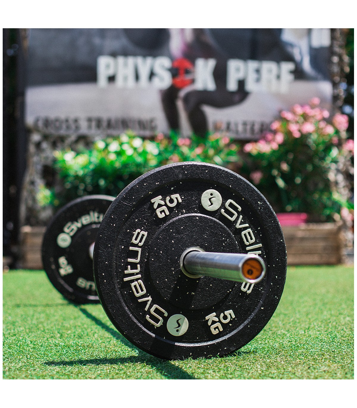 Olympic discs Bumper Sveltus - High-strength range for Ø50 mm bars