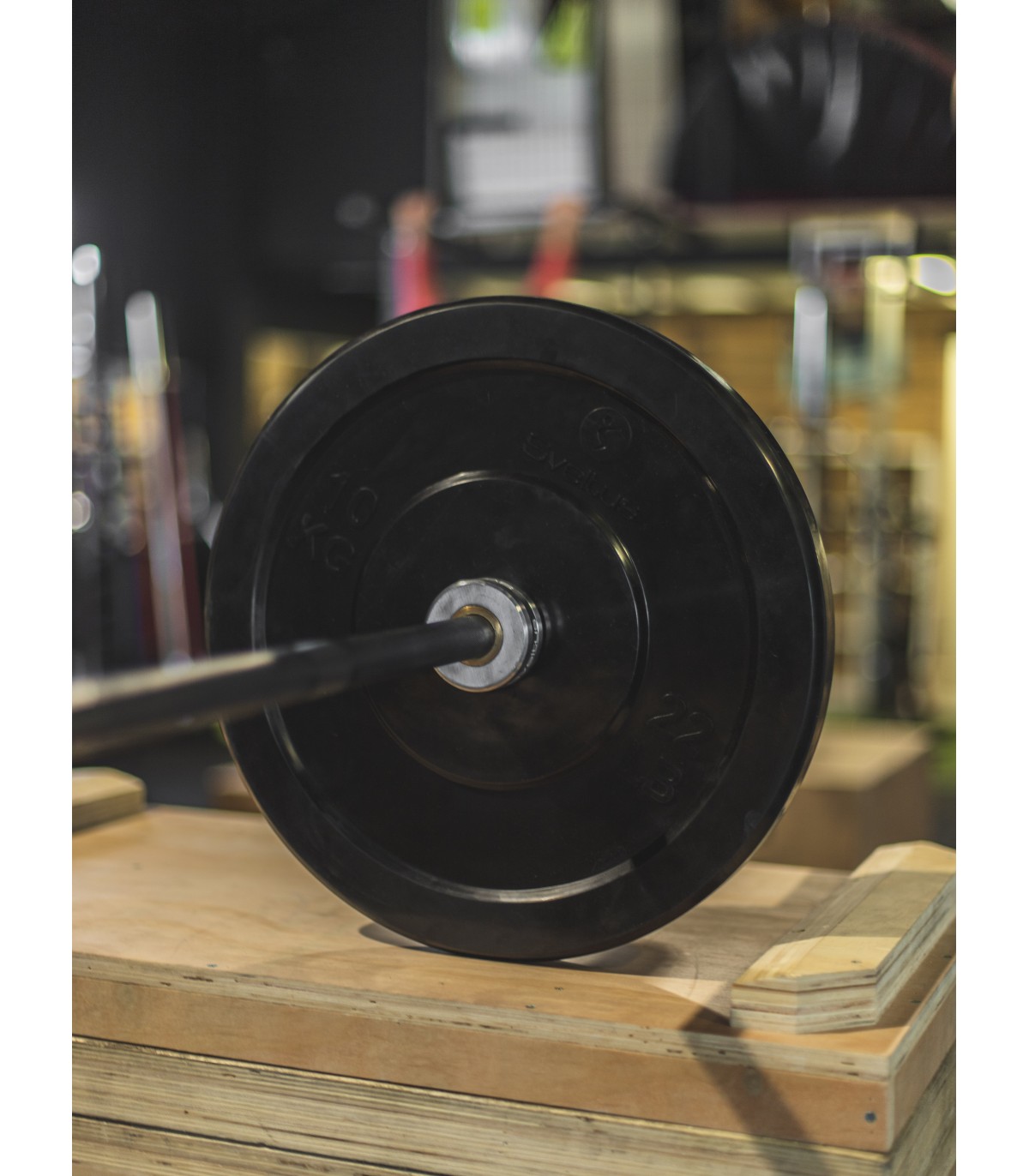 Olympiques Rubber Sveltus discs - Range of rubber weights for Ø50 mm bars