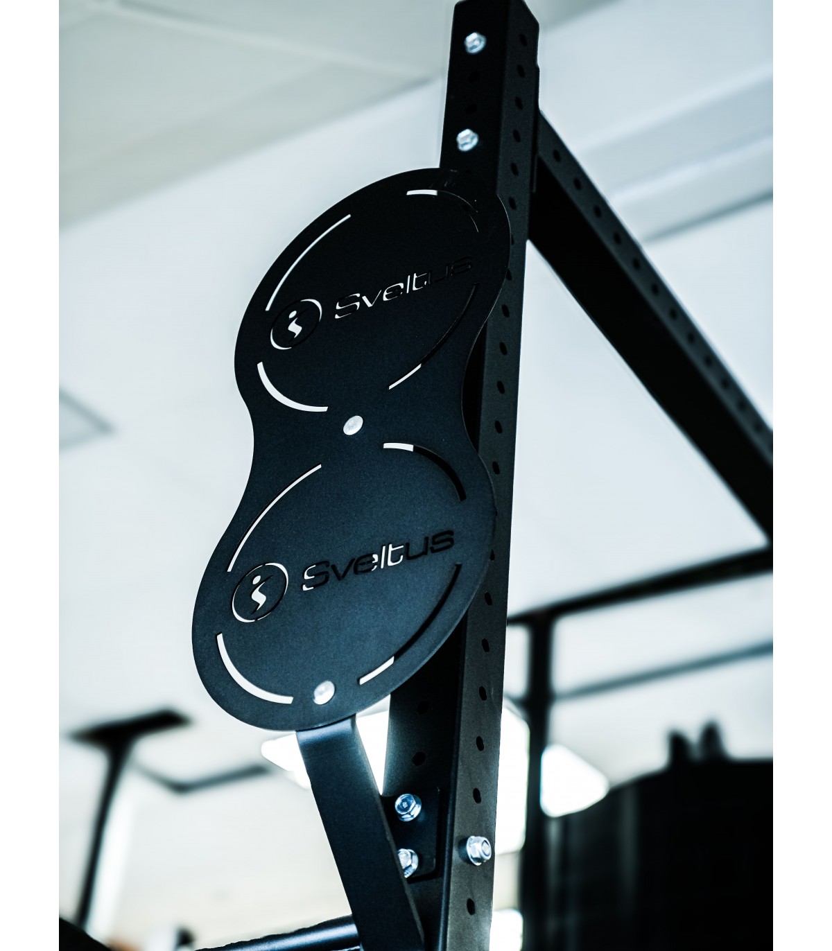 Double target Wall Ball M/F